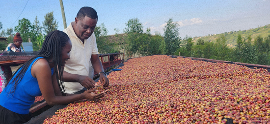 Isoko coffee – Isoko Coffee